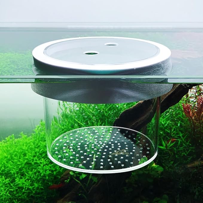 Amazon.com : XEOGUIYA Floating Isolation Box, Acrylic Suspended Fish ...