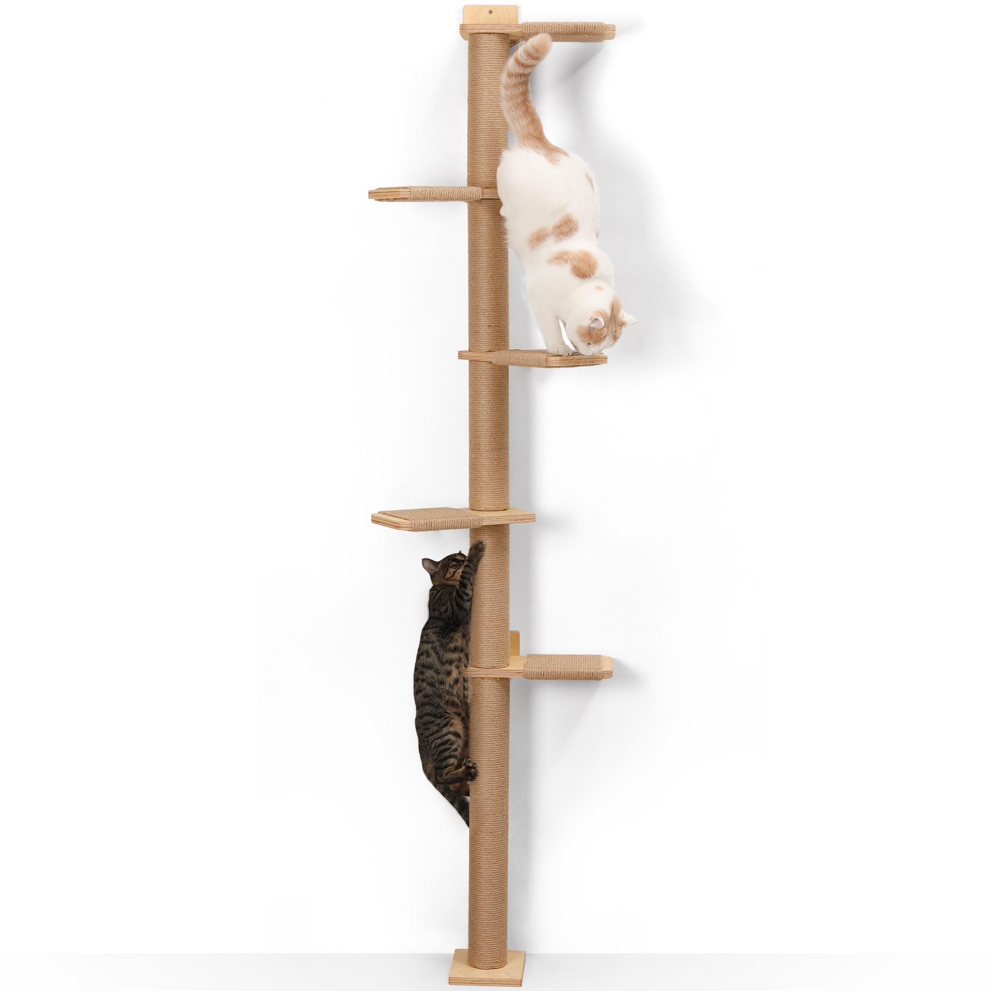 Snapklik.com : Tall Cat Tree, 5 Tier Floor To Ceiling Cat Tower, Wall ...