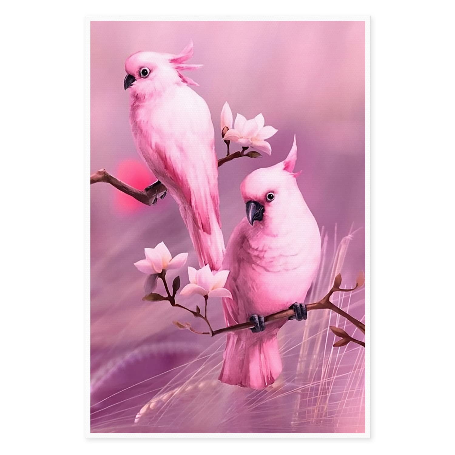 Pink Parakeets