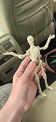 Amazon.com: Super Articulated 8 Inch Skeleton Action Figure : Toys & Games