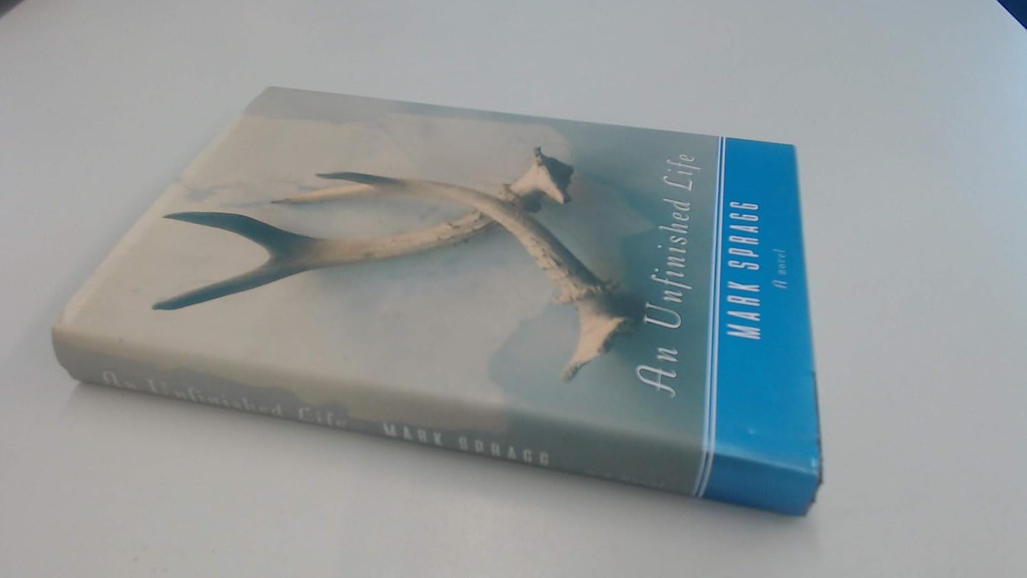An Unfinished Life: Spragg, Mark: 9780224073547: Amazon.com: Books