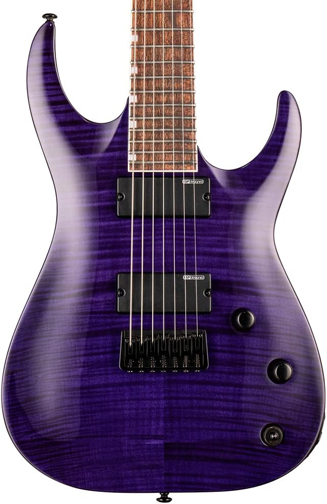 ESP 7 String LTD SH-207 Brian "Head" Welch Signature Series Guitarra ...