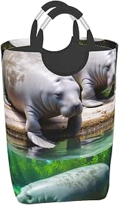 Amazon.com: West Indian Manatees Printed Laundry Basket,Collapsible ...