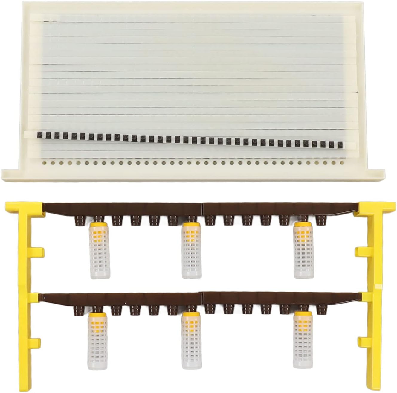 Amazon.com : Natudeco Queen Rearing System Kit Beekeeping Bee Grafting ...