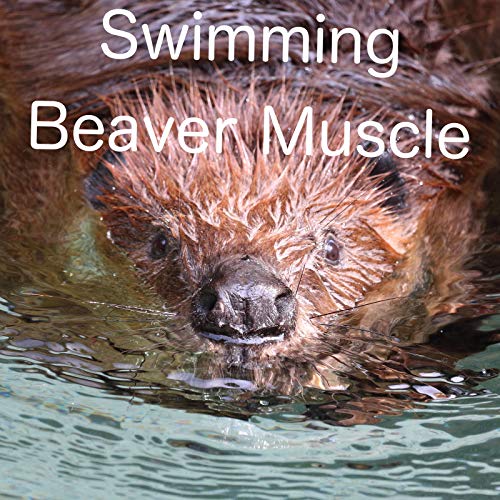 Play Swimming by Beaver Muscle on Amazon Music