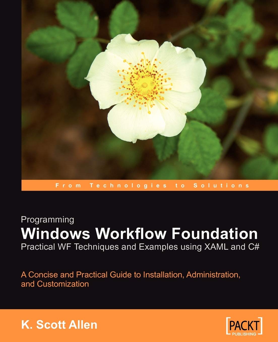 Programming Windows Workflow Foundation: Practical WF Techniques and ...