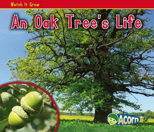Oak Tree: Nancy Dickmann: 9780431195506: Amazon.com: Books