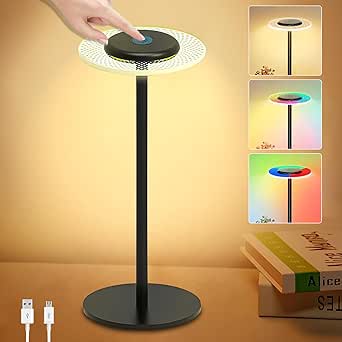 VSDFAW Cordless Table Lamp Rechargeable LED Desk Lamp RGB Color ...