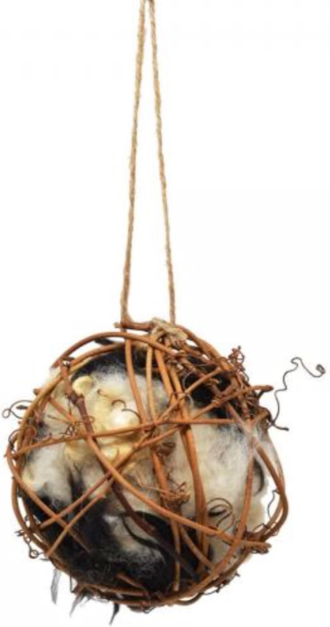 Amazon.com: YYK Set of 3 Globe Hummingbird Nesters - Bird Nesting ...