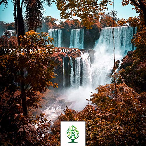 Amazon MusicでMother Nature Sound FXのMother Nature Soundsを再生する