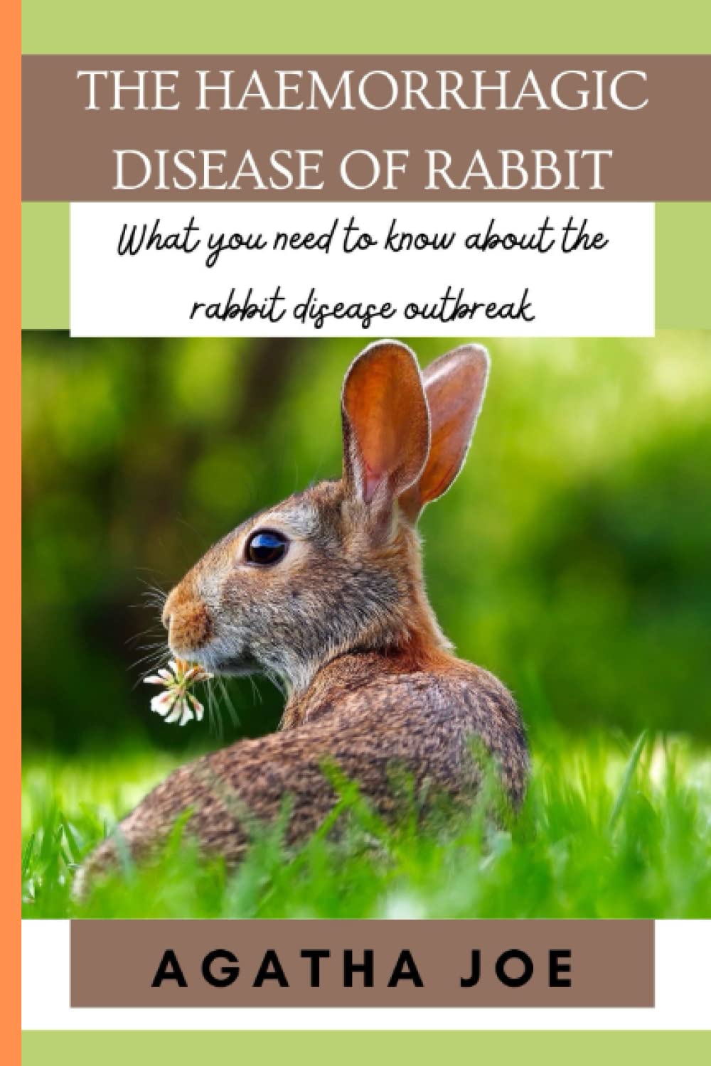 Buy THE HAEMORRHAGIC DISEASE OF RABBIT: What you need to know about the ...