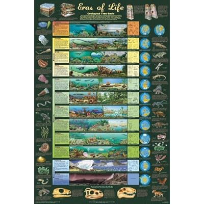 Geological Time Scale Poster - Feenixx Laminated Australia | Ubuy