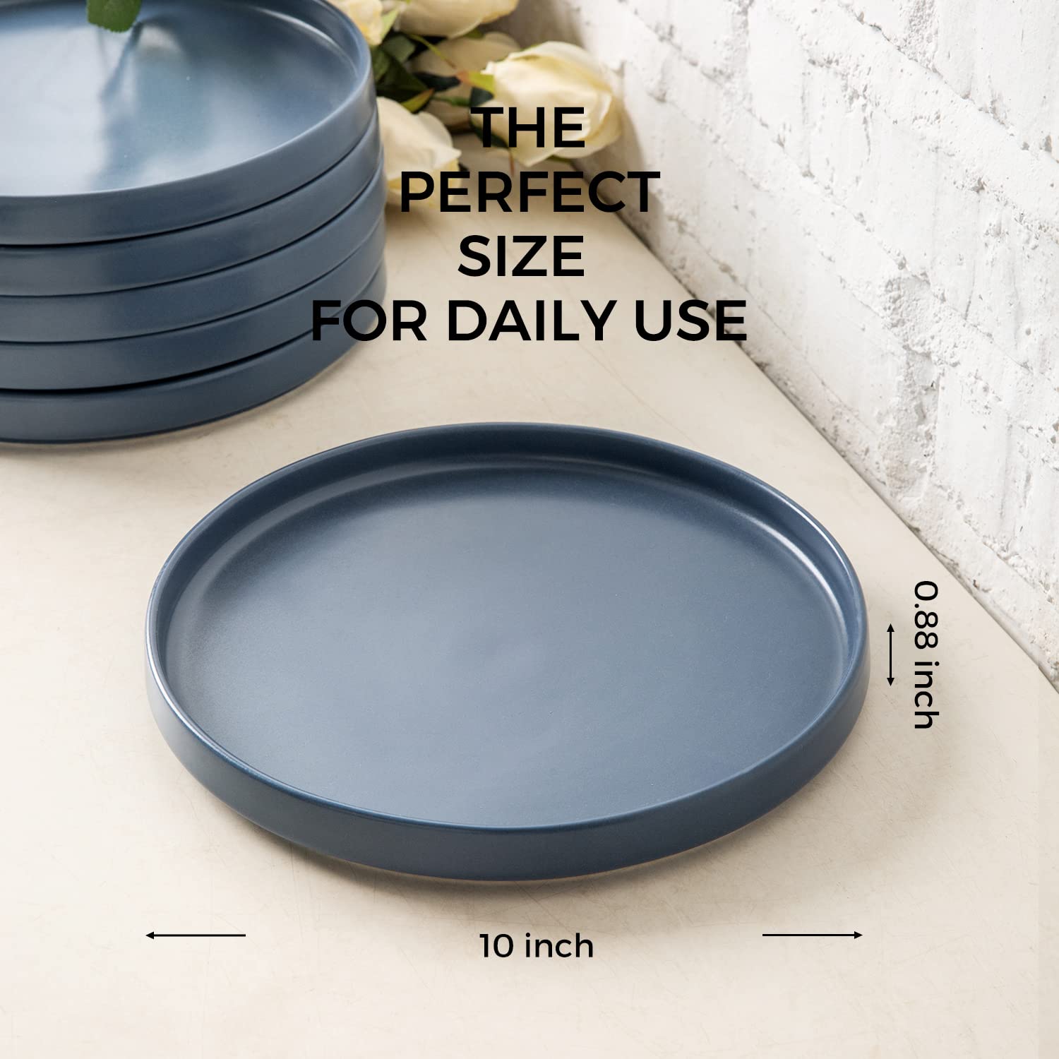 AmorArc Ceramic Dinner Plates Set of 6, 10.0 Inch Matte Stoneware ...