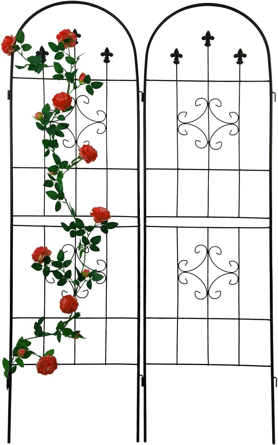 Amazon.com : Panacea 84401 Scroll Trellises, Black, 72" H, Pack of 2 ...