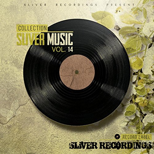 Amazon Music - VARIOUS ARTISTSのSLiVER Music Collection, Vol.14 - Amazon ...