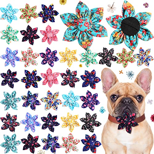 Fall Dog Collars – The 15 best products compared - Wild Explained