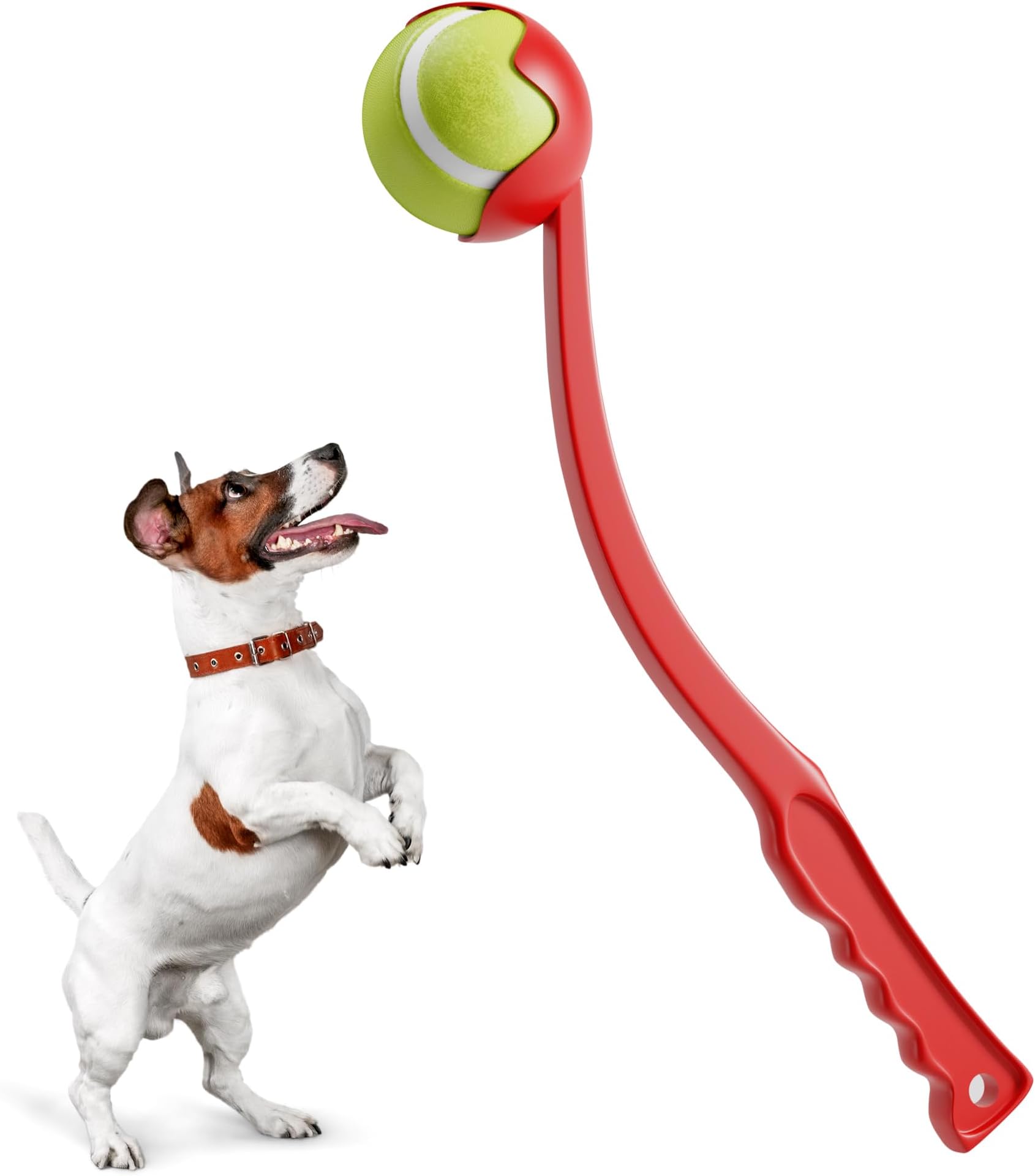 BILISH Dog Tennis Ball Launcher - Portable Thrower for Small Dogs ...