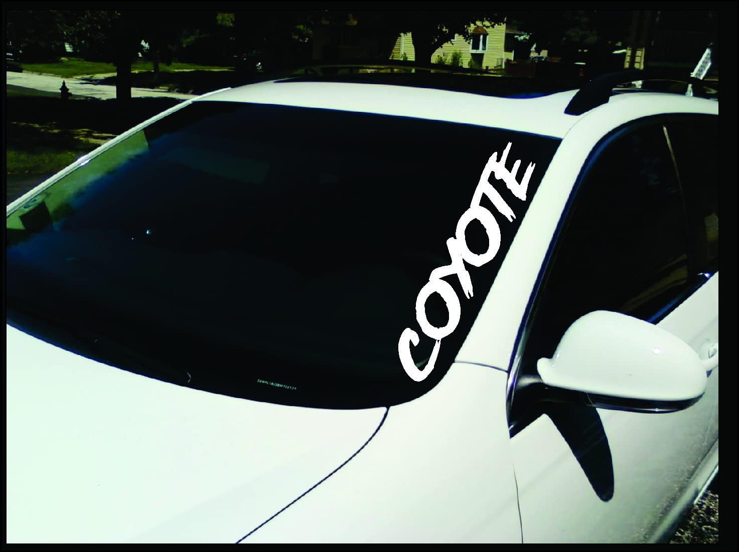 Amazon.com: Coyote Side Banner Windshield Banner Vinyl Decal Sticker ...