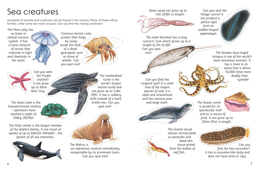 Snapklik.com : Ultimate Fish & Sea Life Sticker Book