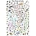 Amazon.com: EuroGraphics Laminated Evolution Tree of Life Featuring ...