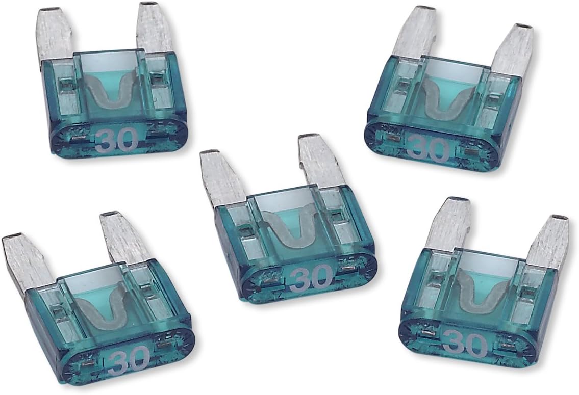 Amazon.com: RoadPro RPMINI30 30 Amp Mini Fuse, (Pack of 5) : Automotive