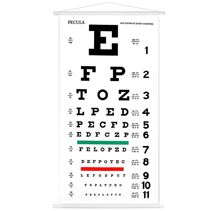 Buy Eye Chart, Snellen Eye Chart, Canvas Wall Chart Non-Reflective ...