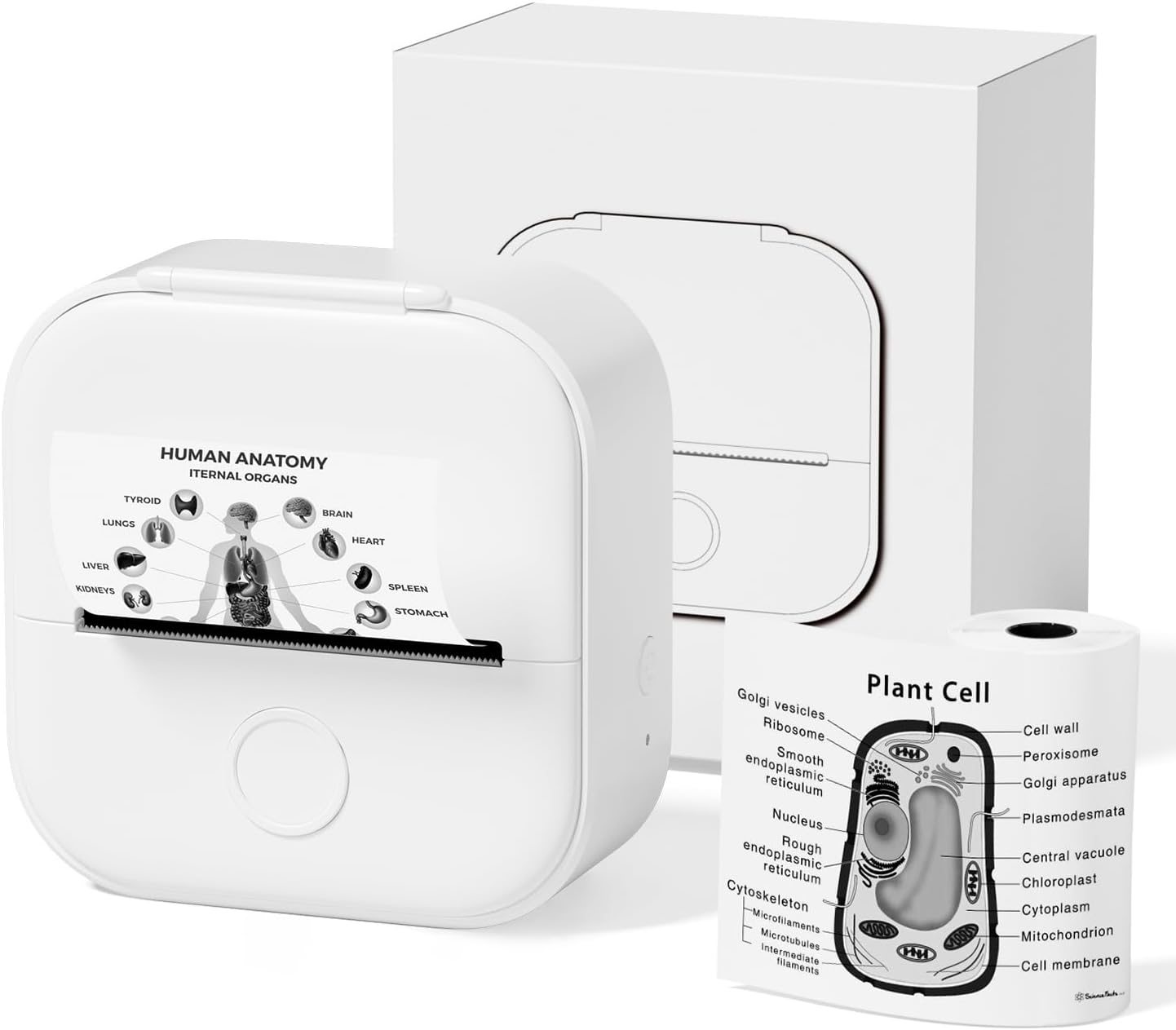 Phomemo Mini Drucker, T02 Fotodrucker für Smartphone,Handy Sticker ...