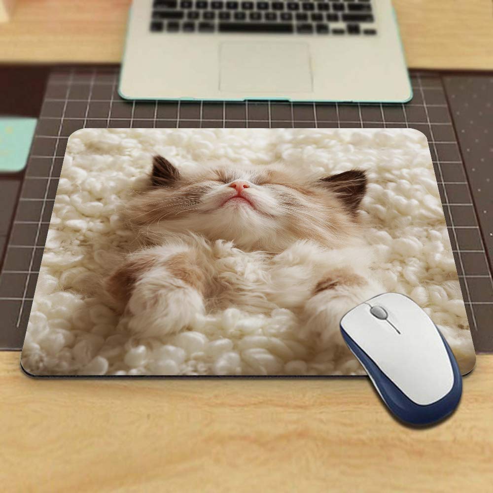 Tired Kitten Computer