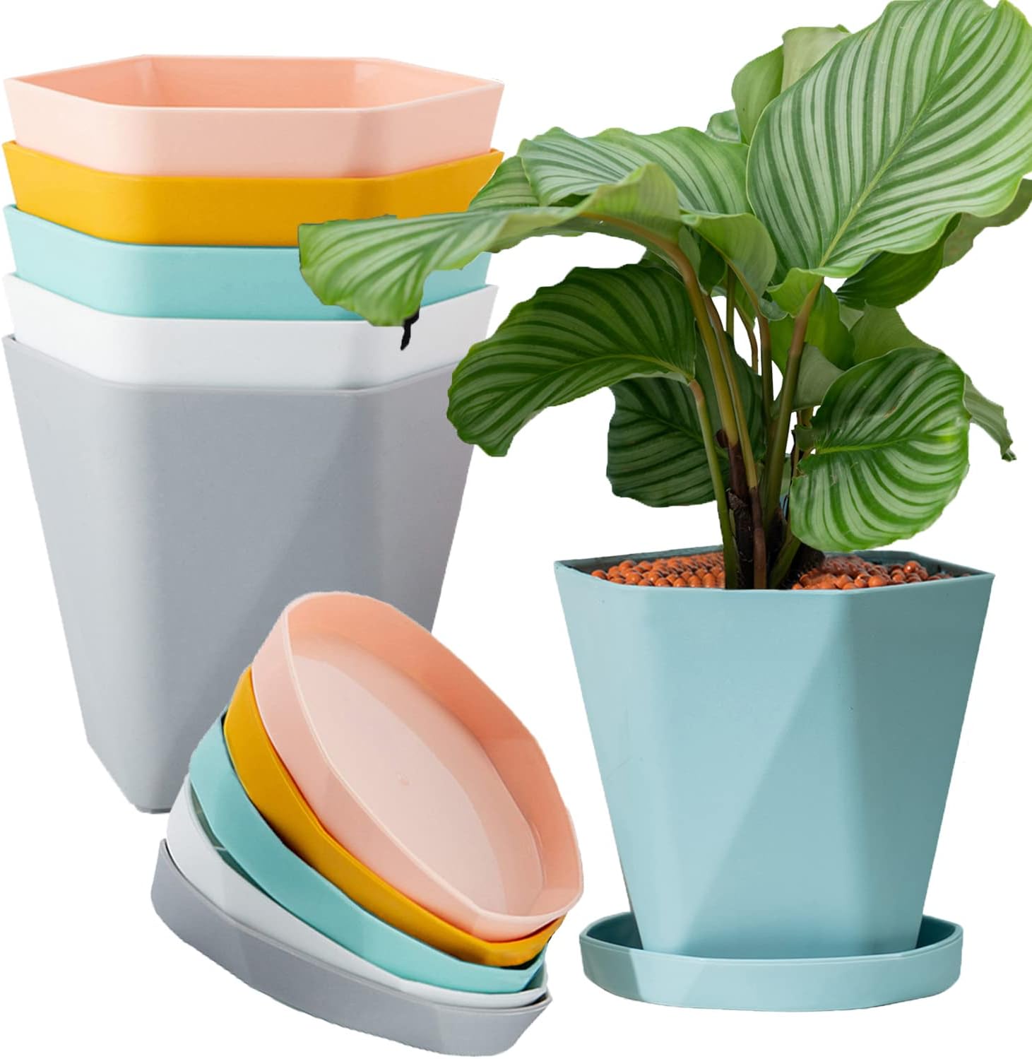 Amazon.com: Goproauto 6 Inch Indoor Planter Pots with Drainage Hole and ...