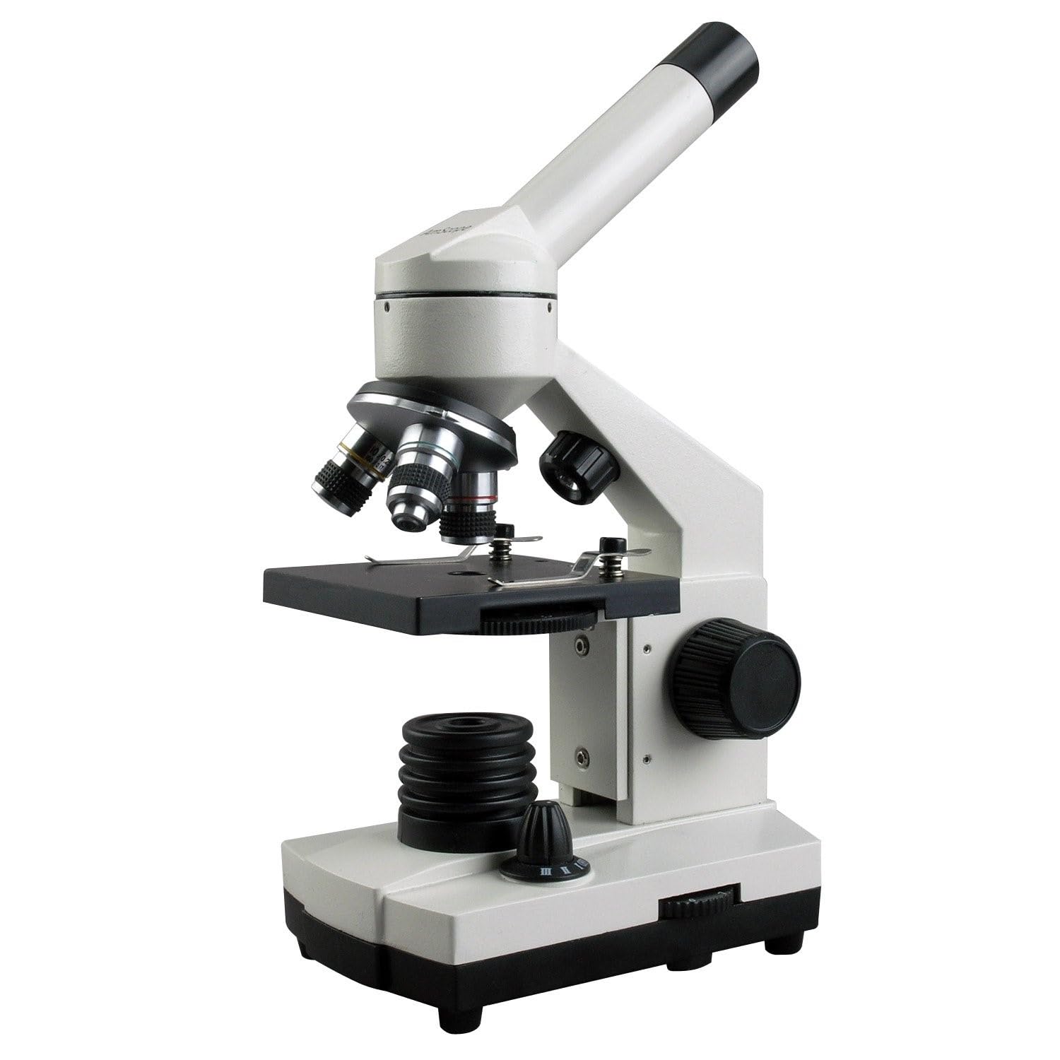 Compound Microscope Images