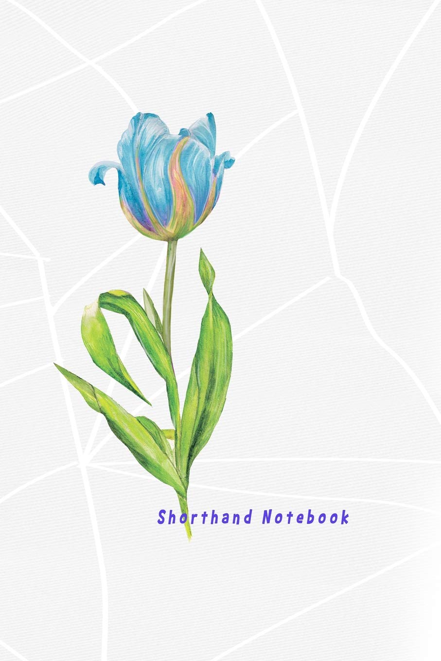 Shorthand Notebook: Pitman Shorthand Teenline Stenography Paper Line ...
