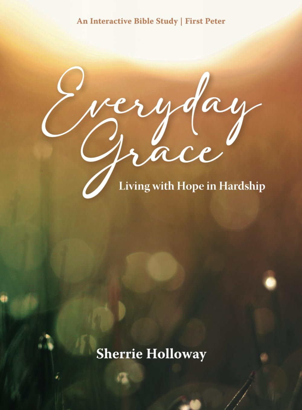 Everyday Grace: Living with Hope in Hardship: Holloway, Sherrie L ...