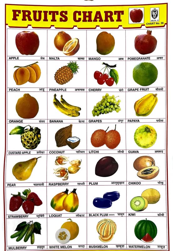 Buy Atish Creatives Children Wall Chart of Fruits Chart AE-WALLCHART-06 ...