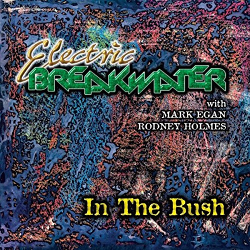 Play In the Bush by Electric Breakwater on Amazon Music