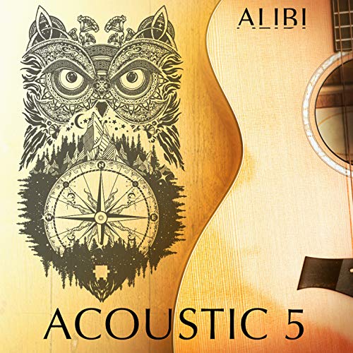 Amazon.com: Acoustic, Vol. 5 : Alibi Music: Digital Music