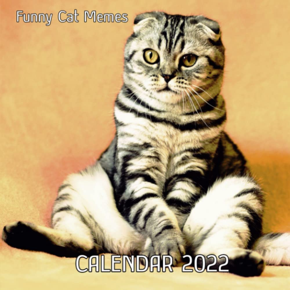 Funny Cat Memes Calendar 2022 January 2022 December 2022 Monthly ...