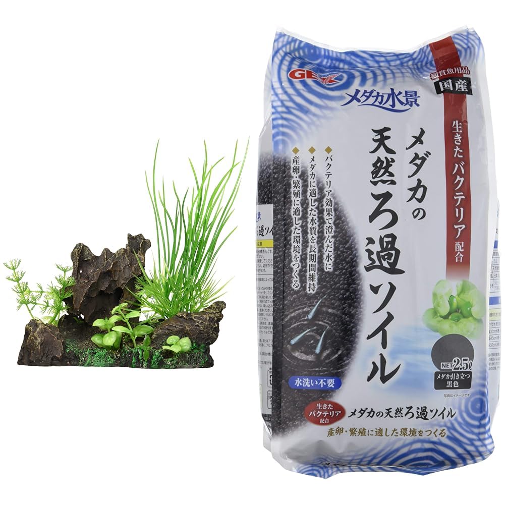 Amazon | 【セット買い】ジェックス GEX 癒し水景 MIXプランツ ロック 茶 + ジェックス GEX メダカ元気 メダカ水景 メダカの天然ろ過ソイル 2.5L | GEX | 人工 ...