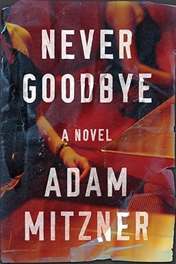 Never Goodbye: 2 : Mitzner, Adam: Amazon.co.za: Books