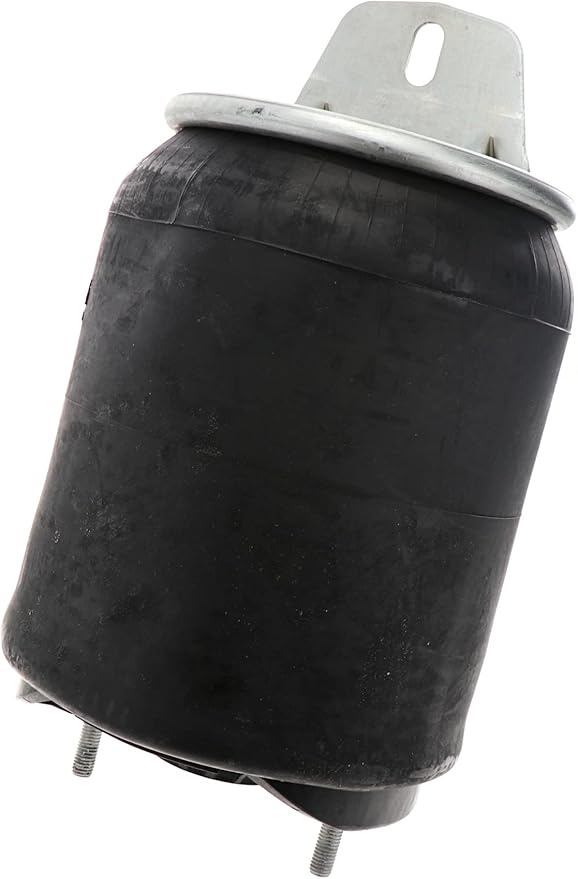 Amazon.com: Freightliner Air Spring - FI W01 358 9865 : Automotive