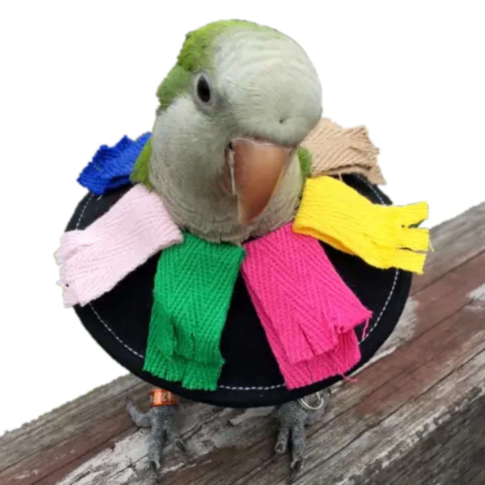 Feather Plucking Guard Parrot Anti-Peck Collar - Velour Leather ...