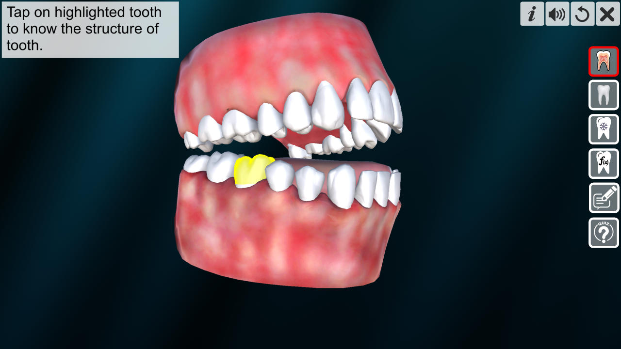 Incredible Human Teeth - App on Amazon Appstore
