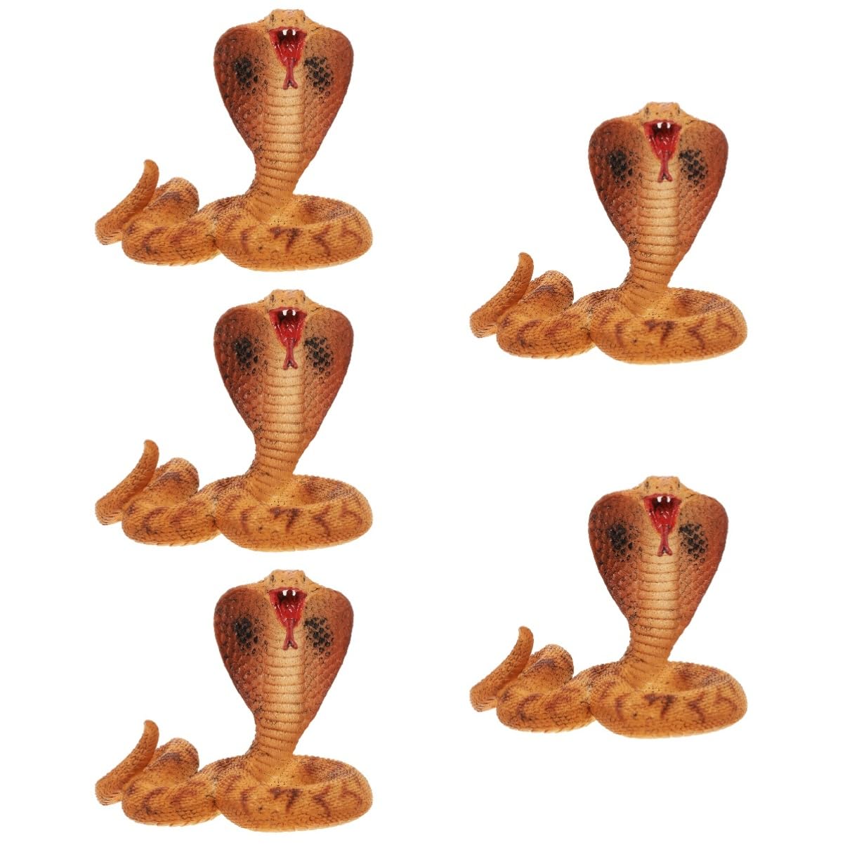 Crawling Animals Snake