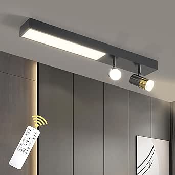 CANEOE Modern Led Ceiling Light Fixture, Dimmable Flush Mount Ceiling ...