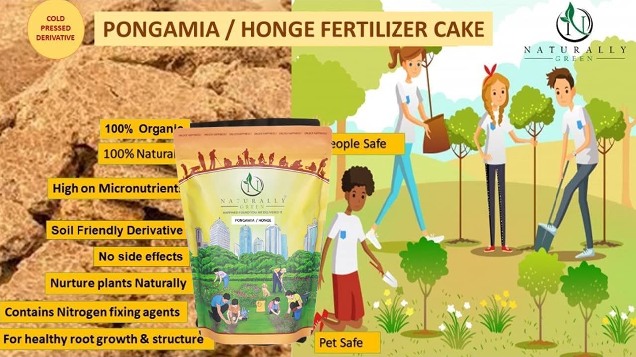 Buy Naturally Green Pongamia / Honge 100% Natural & Organic Fertilizer ...