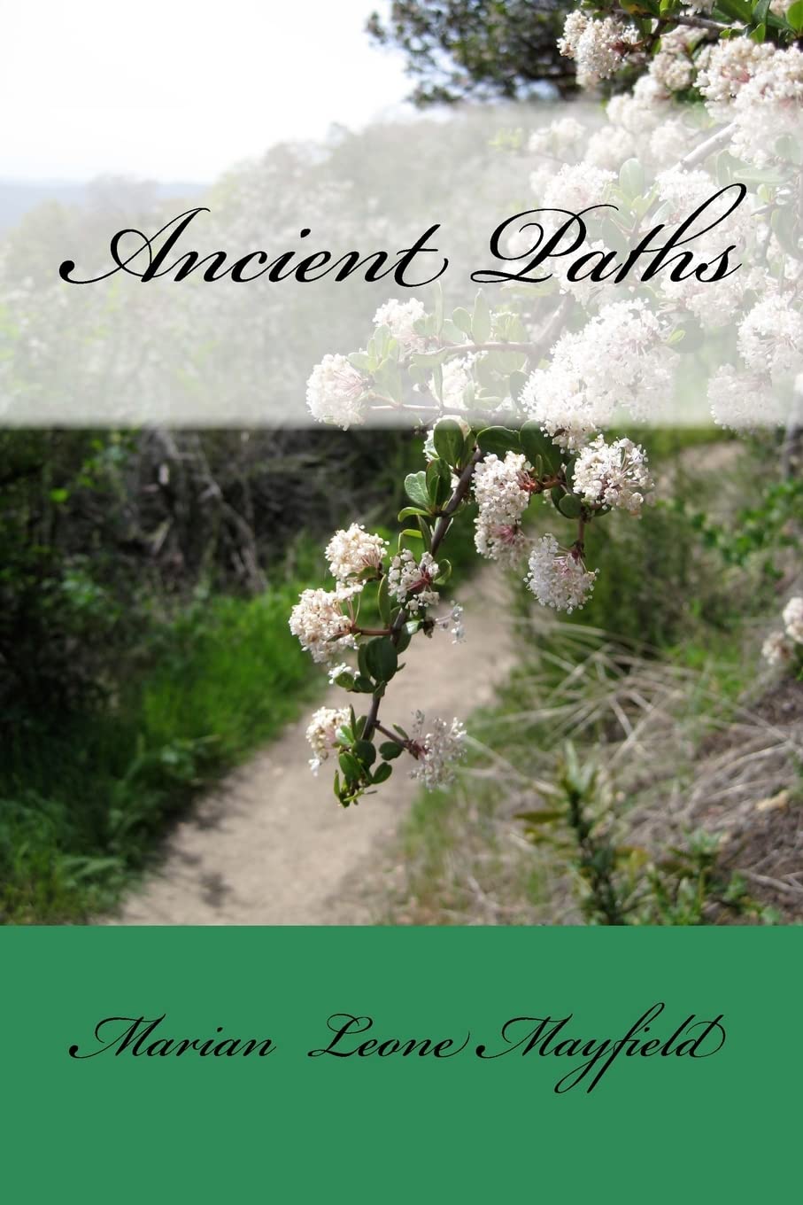 Ancient Paths: christopaganism,: Mayfield, Marian Leone: 9781461129417 ...