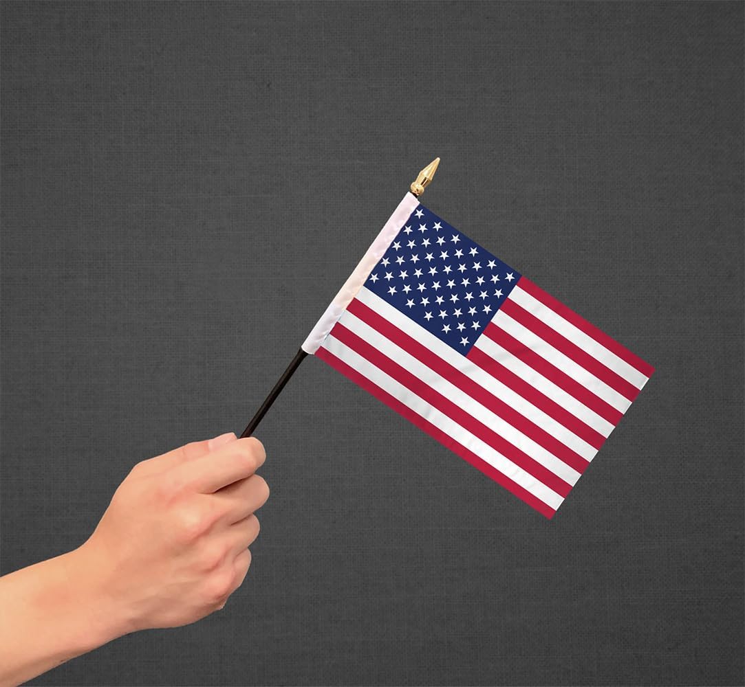 Amazon.com : USA 4x6" Stick Flag - Hand Held American Flag or Desktop ...