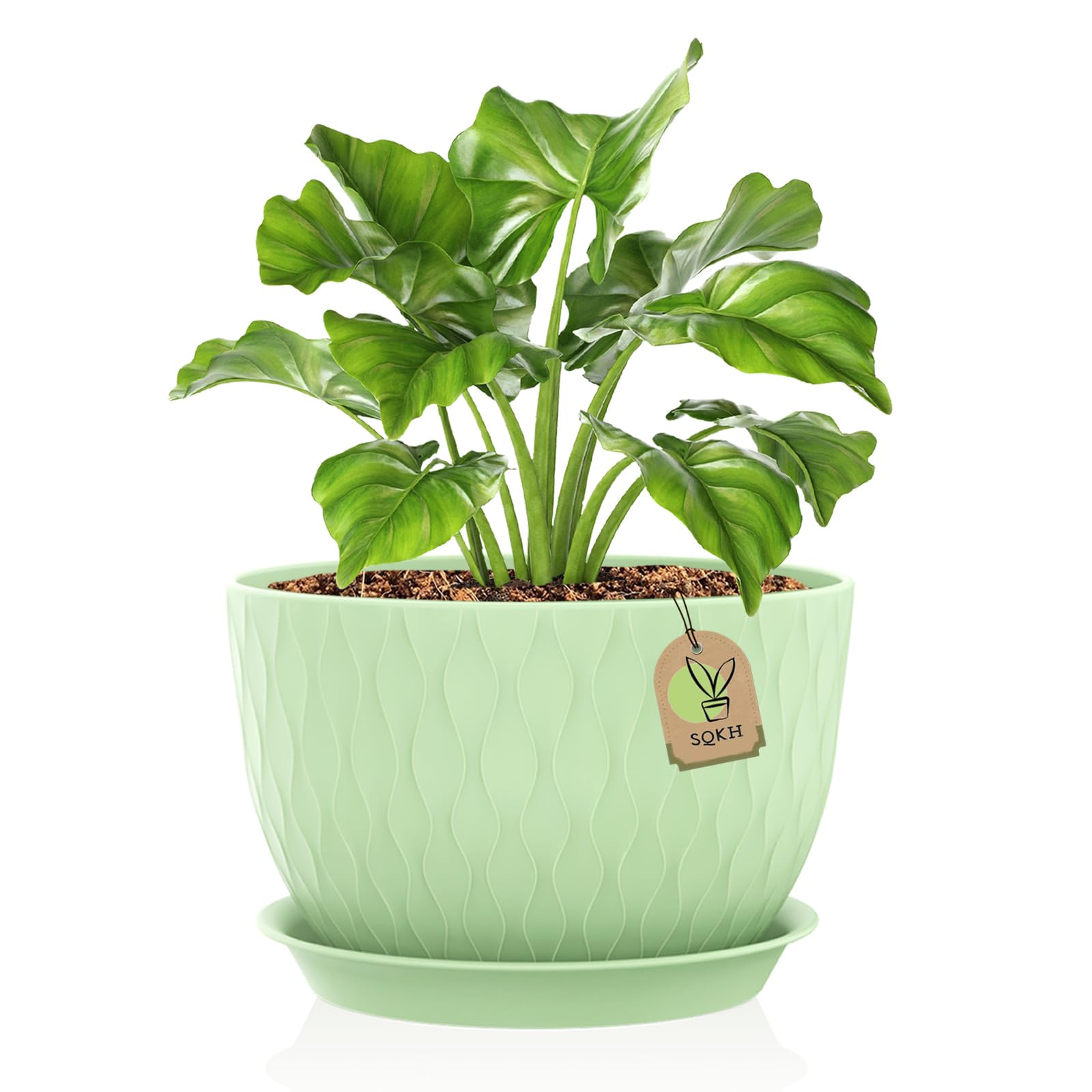 Amazon.com: SQKH 12 Inch Plant Pots, Large Flower Pots for Indoor and ...