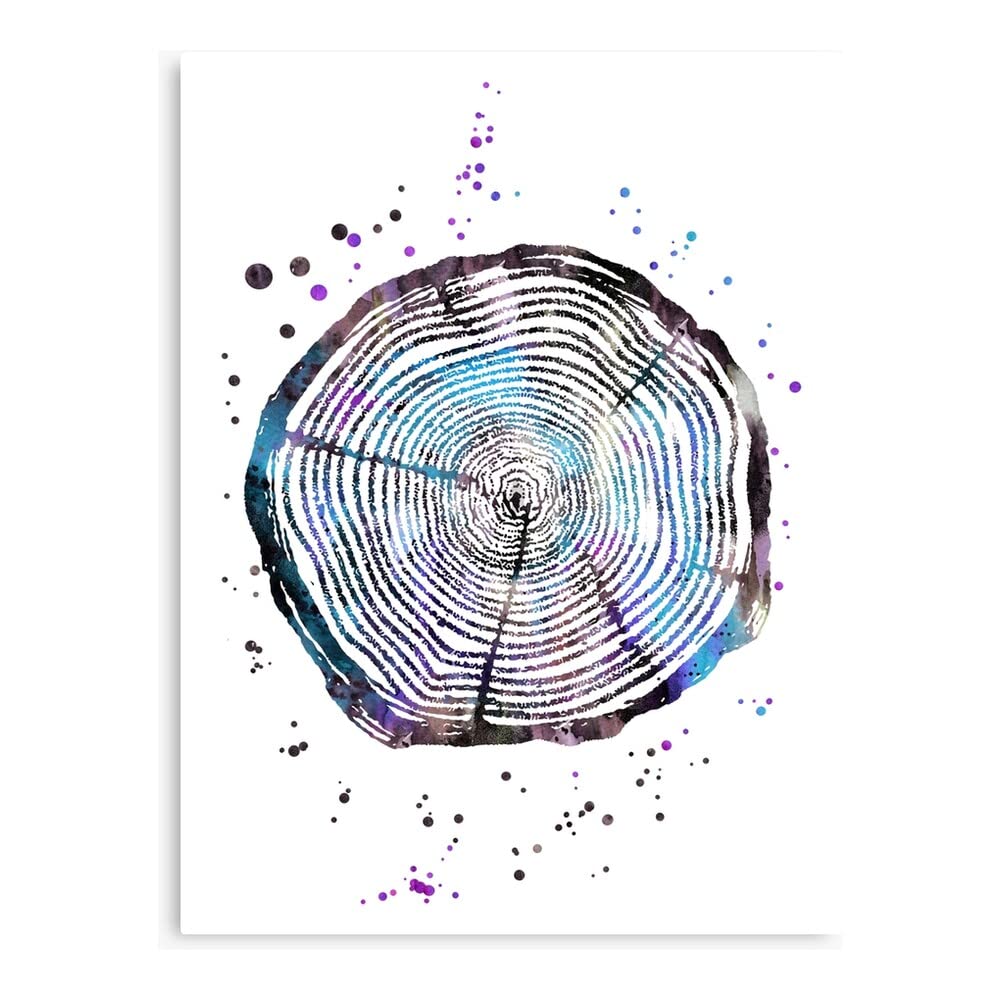 Oak Tree Rings