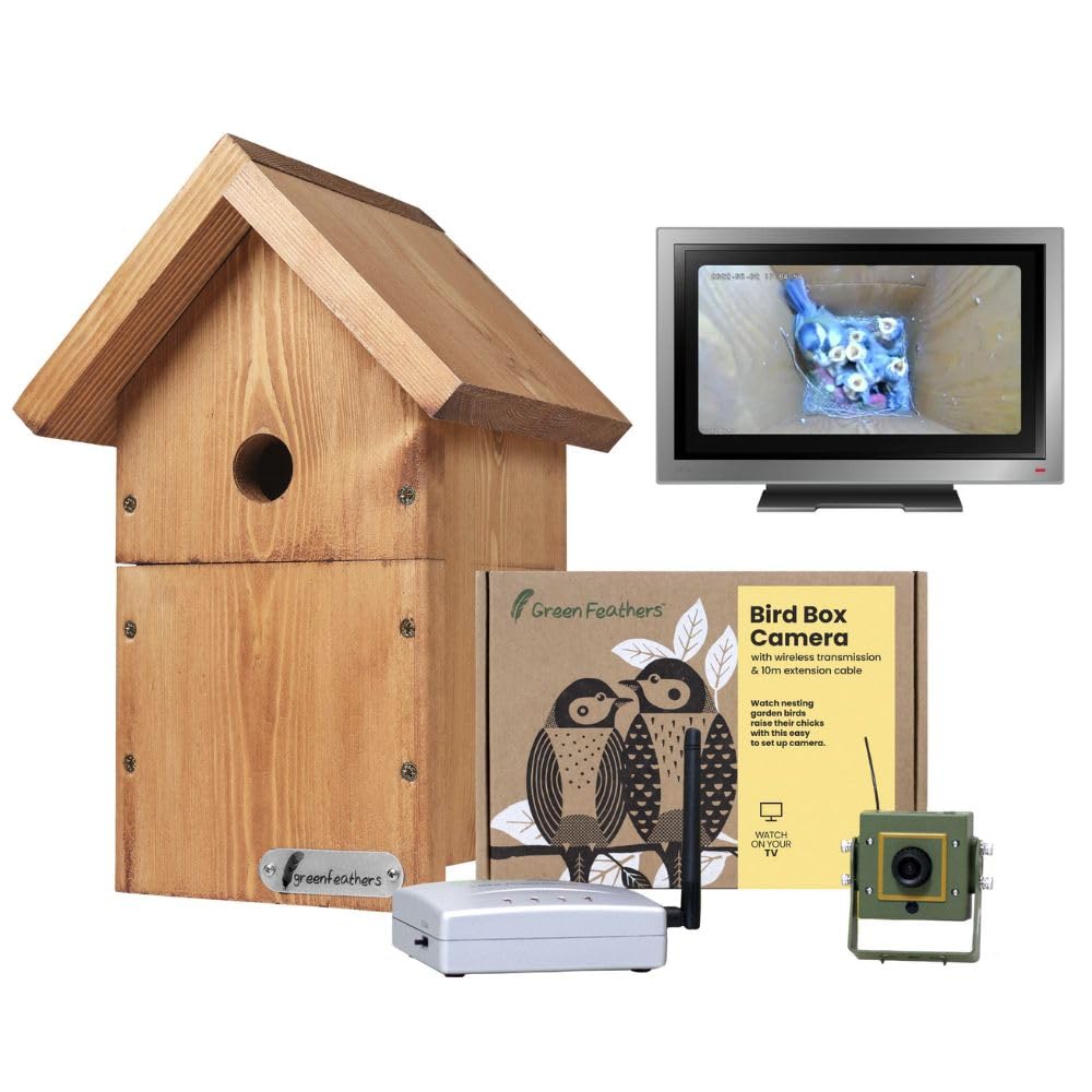Green Feathers Wildlife Wireless Bird Box 700 TVL Camera, Wireless ...