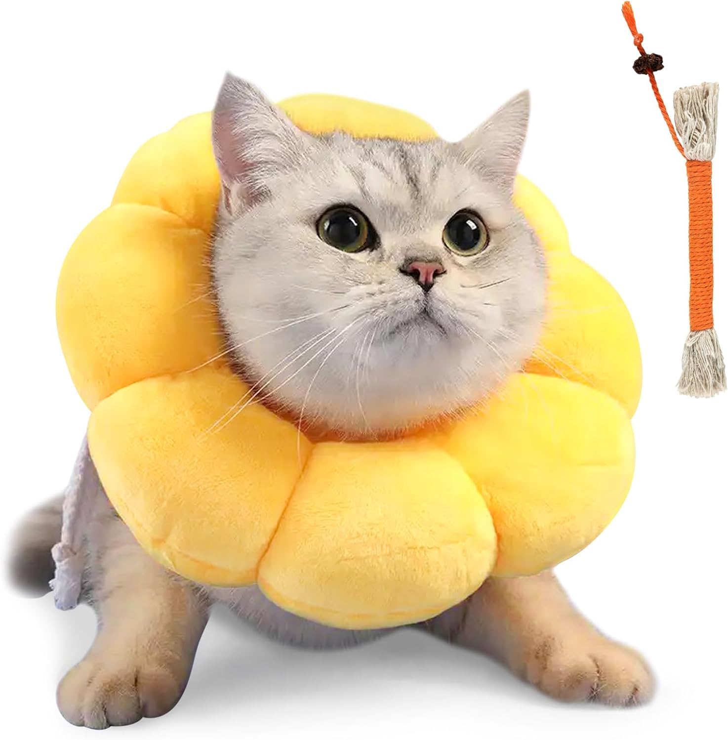 Cat Recovery Collar, Cat Cone Set With Chew Rope, Cat Cones To Stop ...